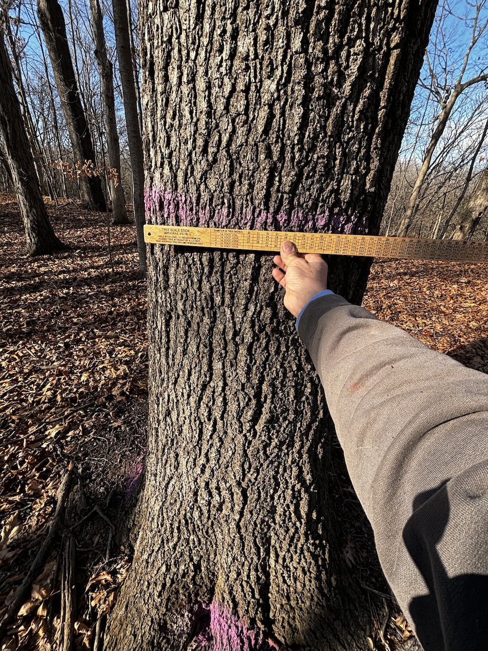 Forest Resources Inc. | Timber and Land Management Services in Central ...