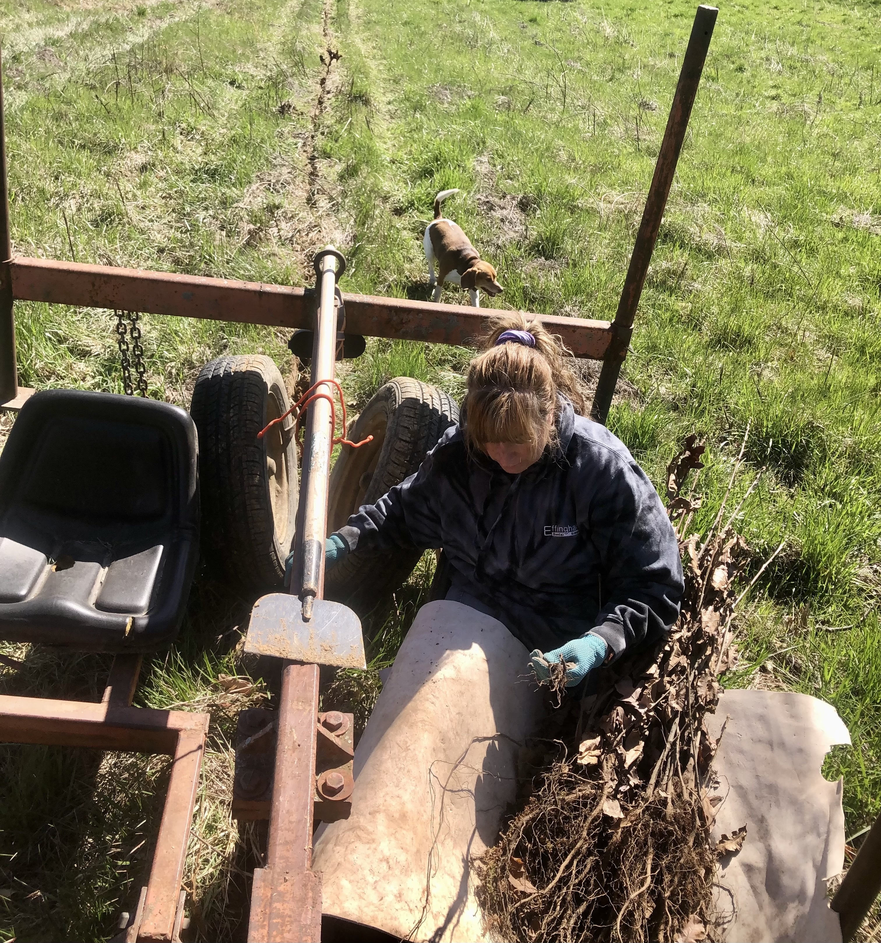 Forest Resources Inc. | Timber and Land Management Services in Central & Southern IL